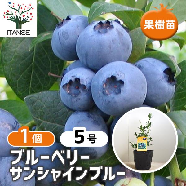 Item page- ZenMarket.jp - Japan Shopping & Proxy Service